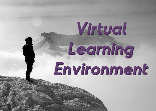 Our Virtual Learning Environment - The Business School UK